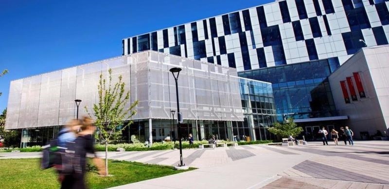 Supports for Autistic Post-Secondary Students | Ames Lab Website