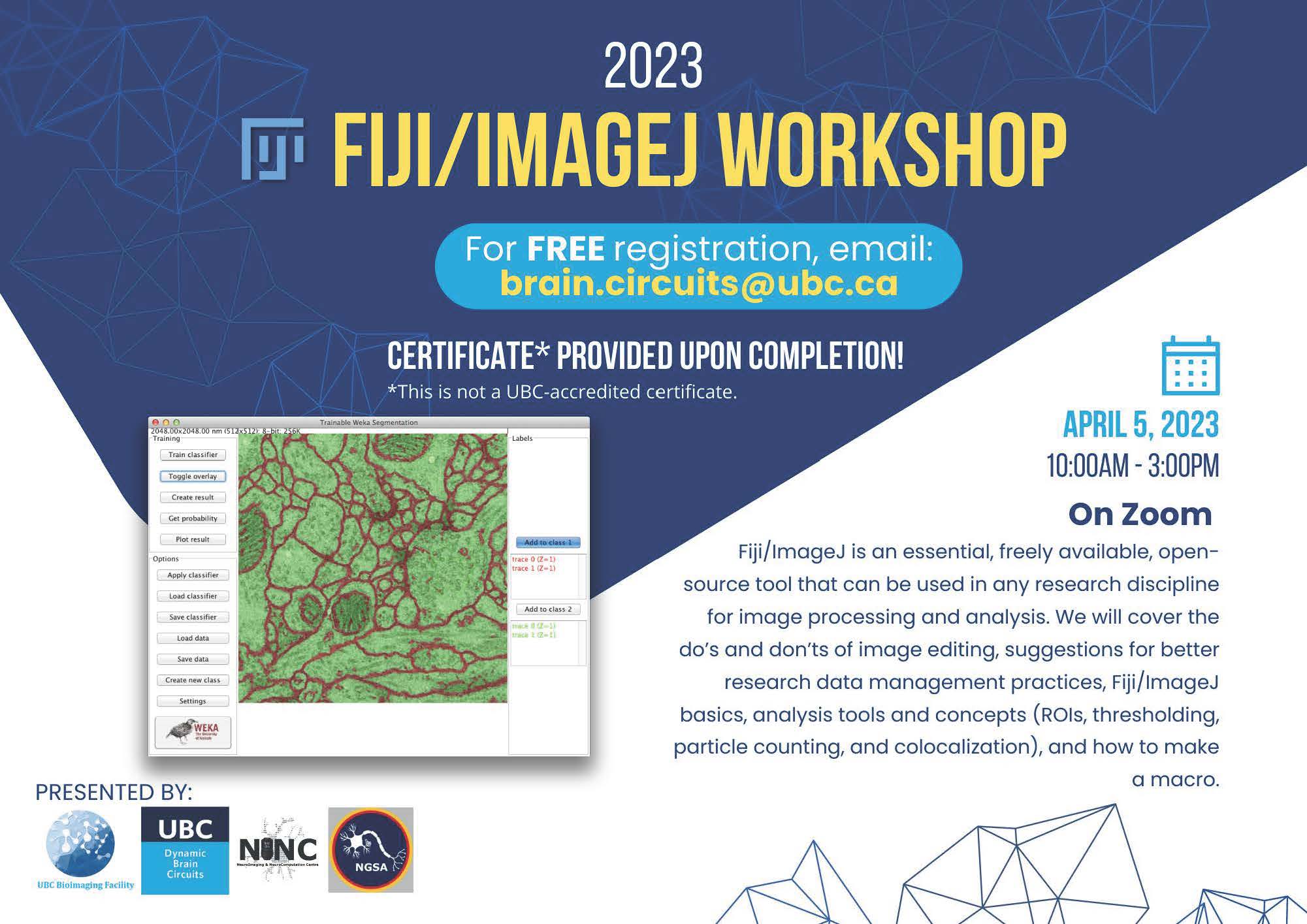 Free Fiji/ImageJ workshop for image processing and analysis ...