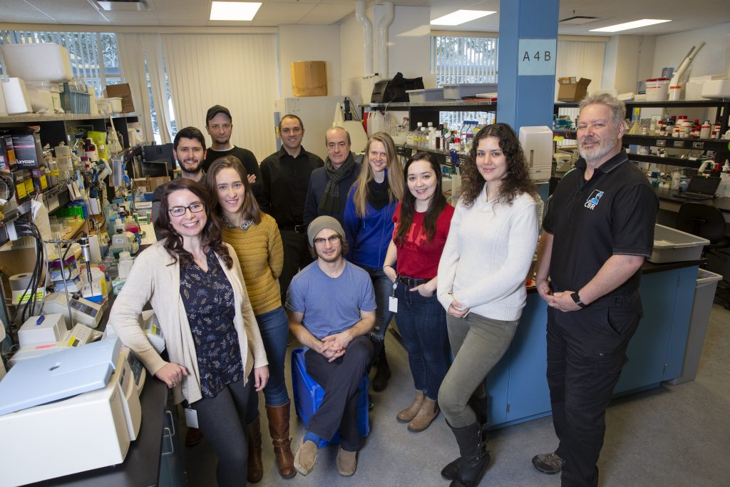 Christie Lab – Neuroscience for Healthier Brains