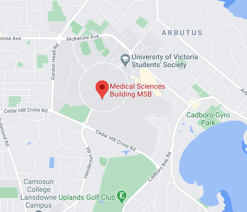 Christie Lab – Neuroscience for Healthier Brains