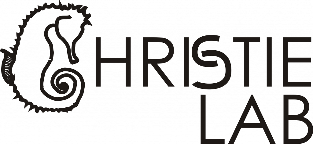 Christie Lab – Neuroscience for Healthier Brains