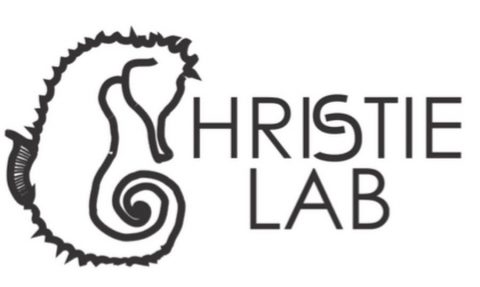 Christie Lab | - Neuroscience for Healthier Brains