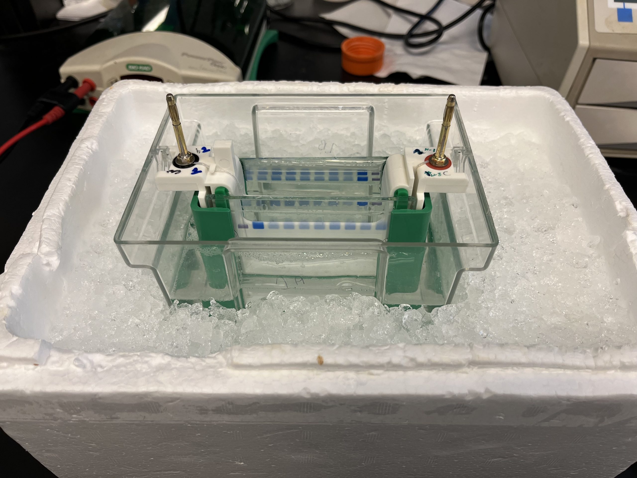 Lab Photos | Christie Lab