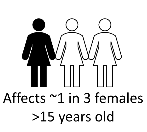 Understanding Brain Injury in Intimate Partner Violence | Christie Lab