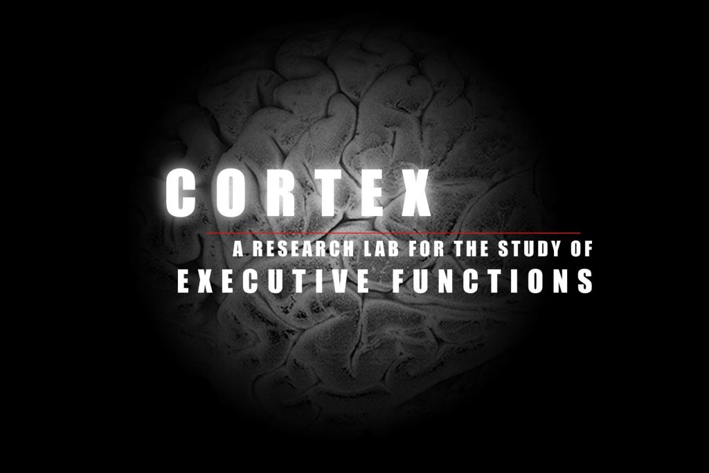Cortex | Research work site