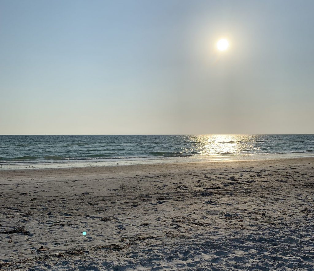 DIFFERENT MINDS LAB – Research in face recognition, holistic processing ...