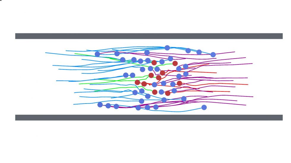 Paper accepted for a Regular Issue in The Visual Computer Journal ...