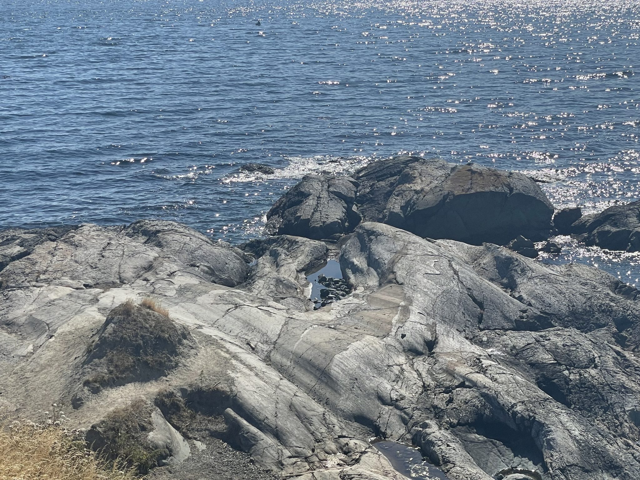 Research – GCR Lab