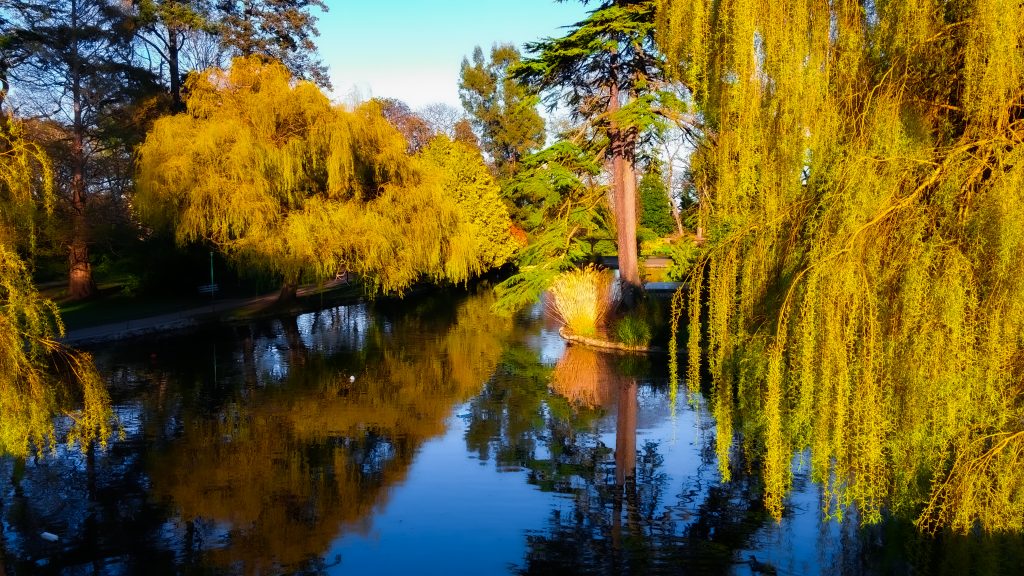 Publications – Helbing Lab