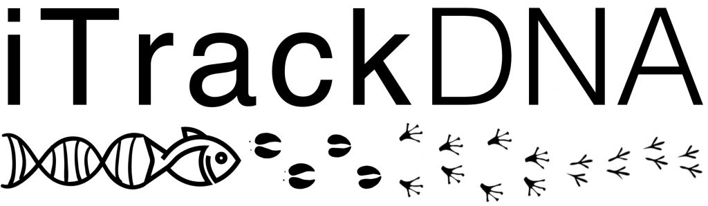 Ongoing Projects – Helbing Lab