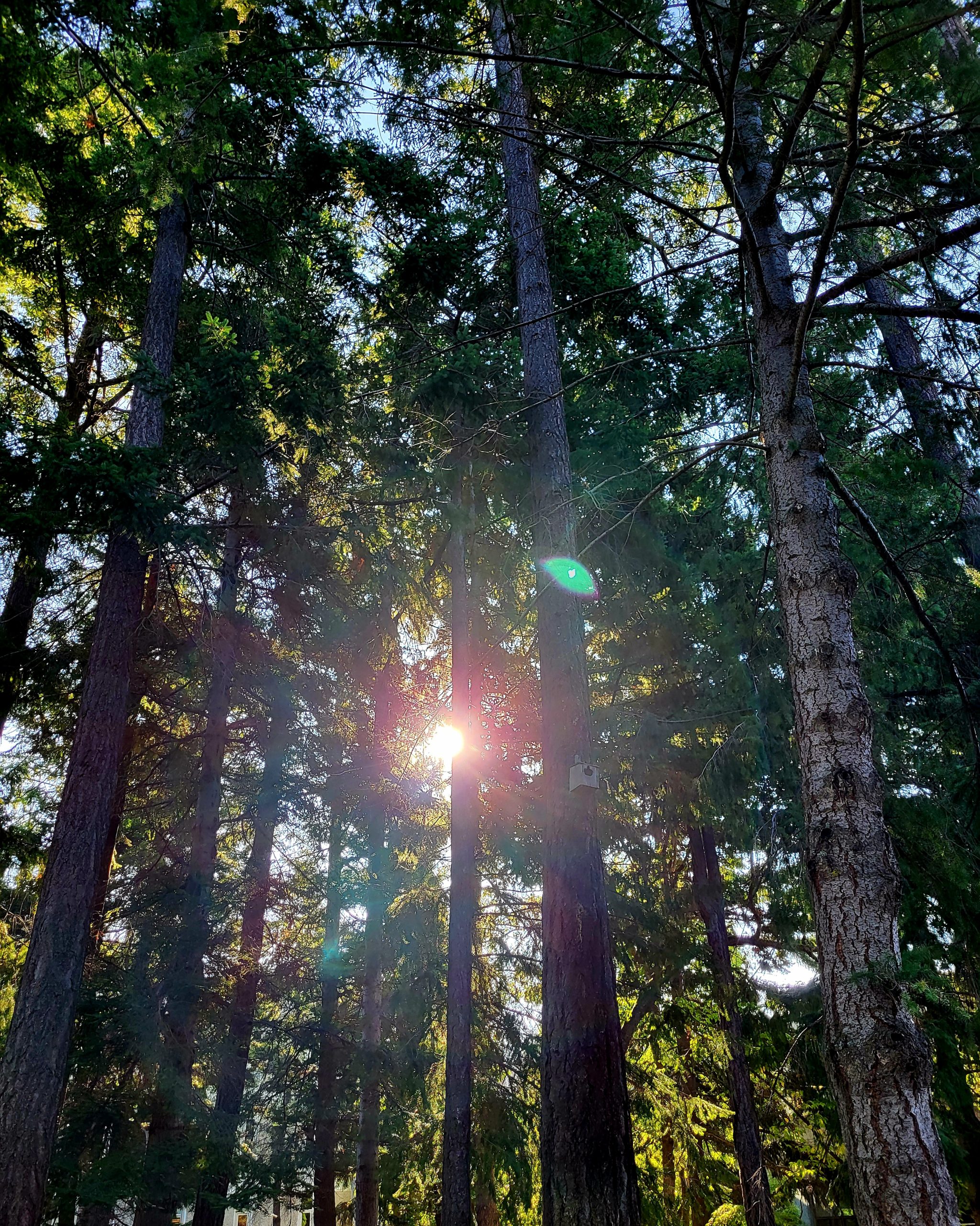 How Do I Know if UVic Law is Right for Me? – UVic Law Admissions