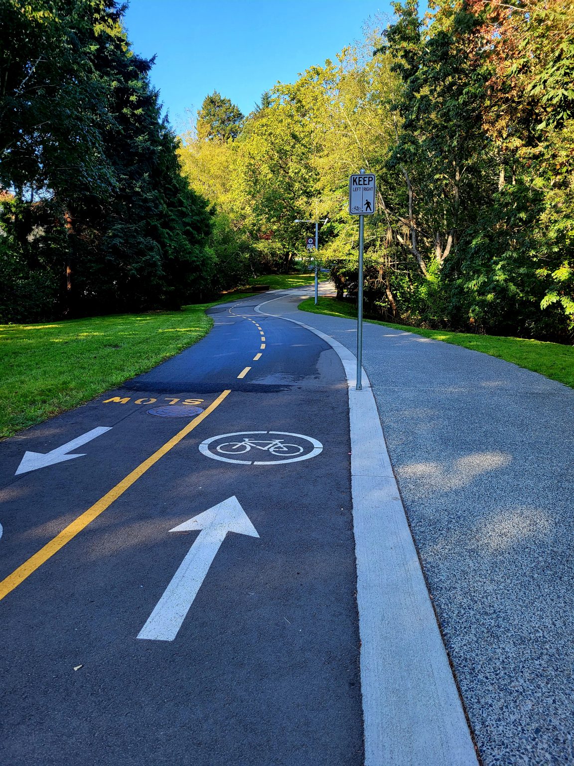 Spotlight: Student Support Coordinator – UVic Law Admissions