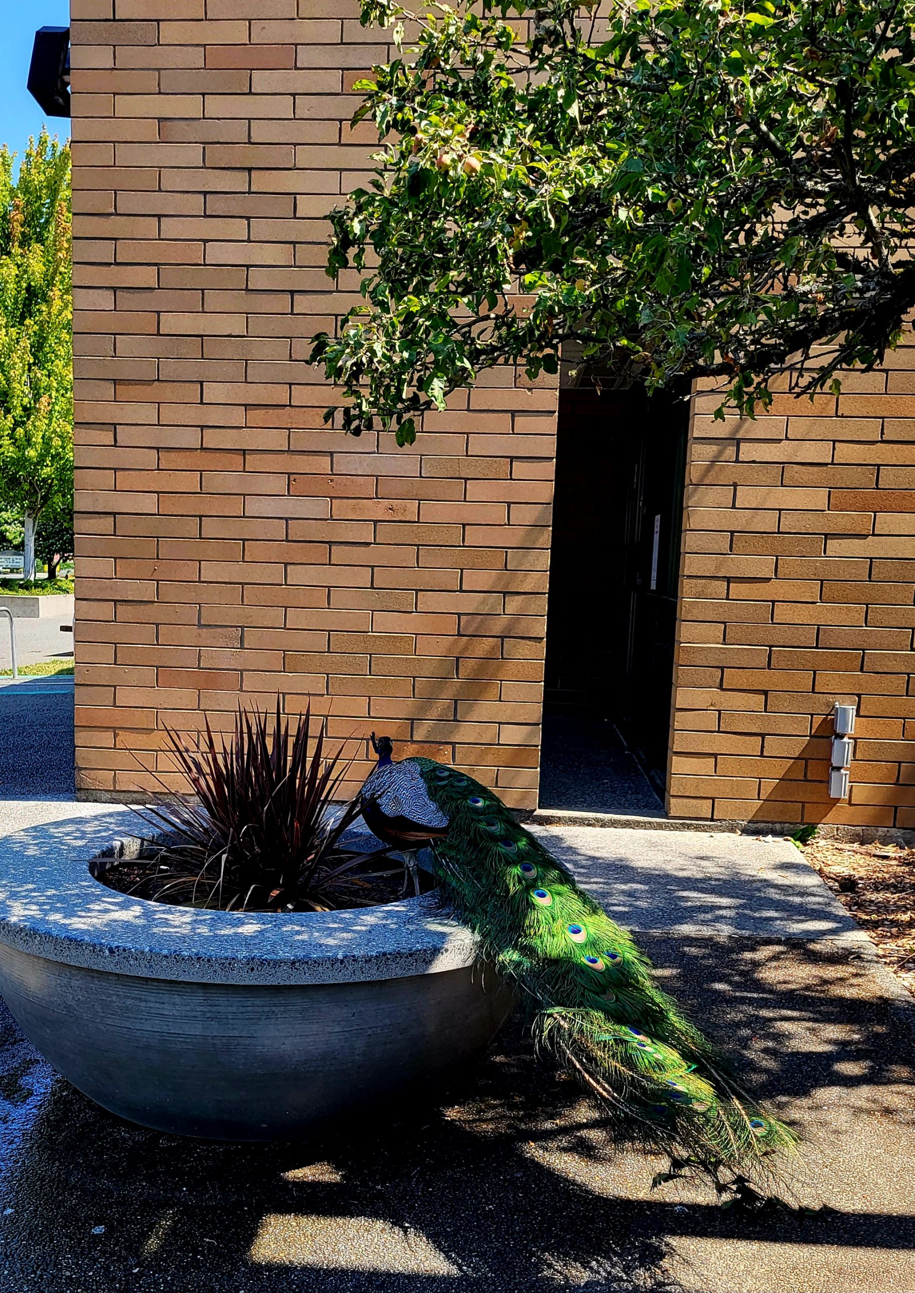 While You are Waiting: Helpful Resources Around Victoria – UVic Law ...