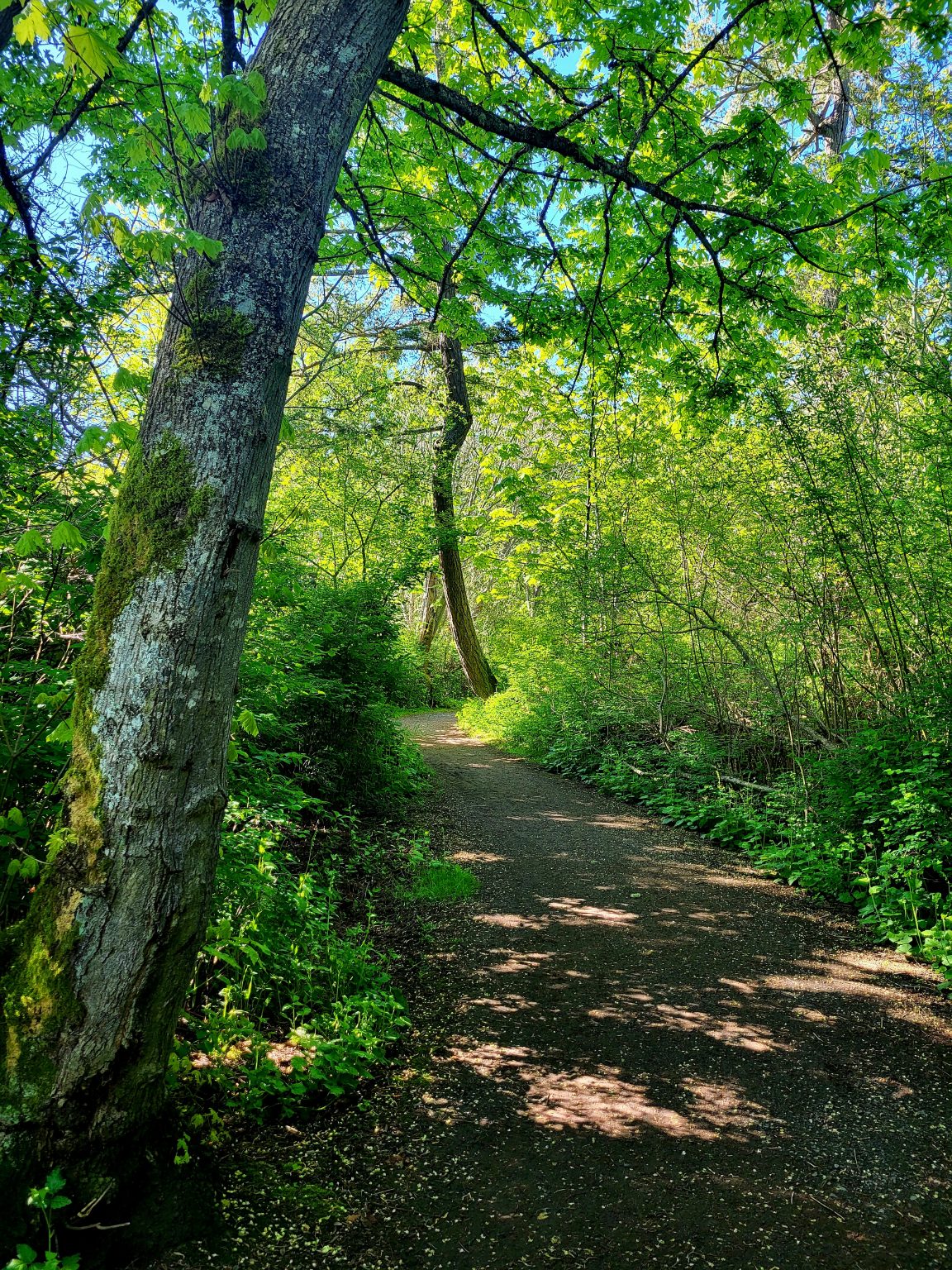 The Top 5 Things You Should do to Prepare for UVic Law in September ...