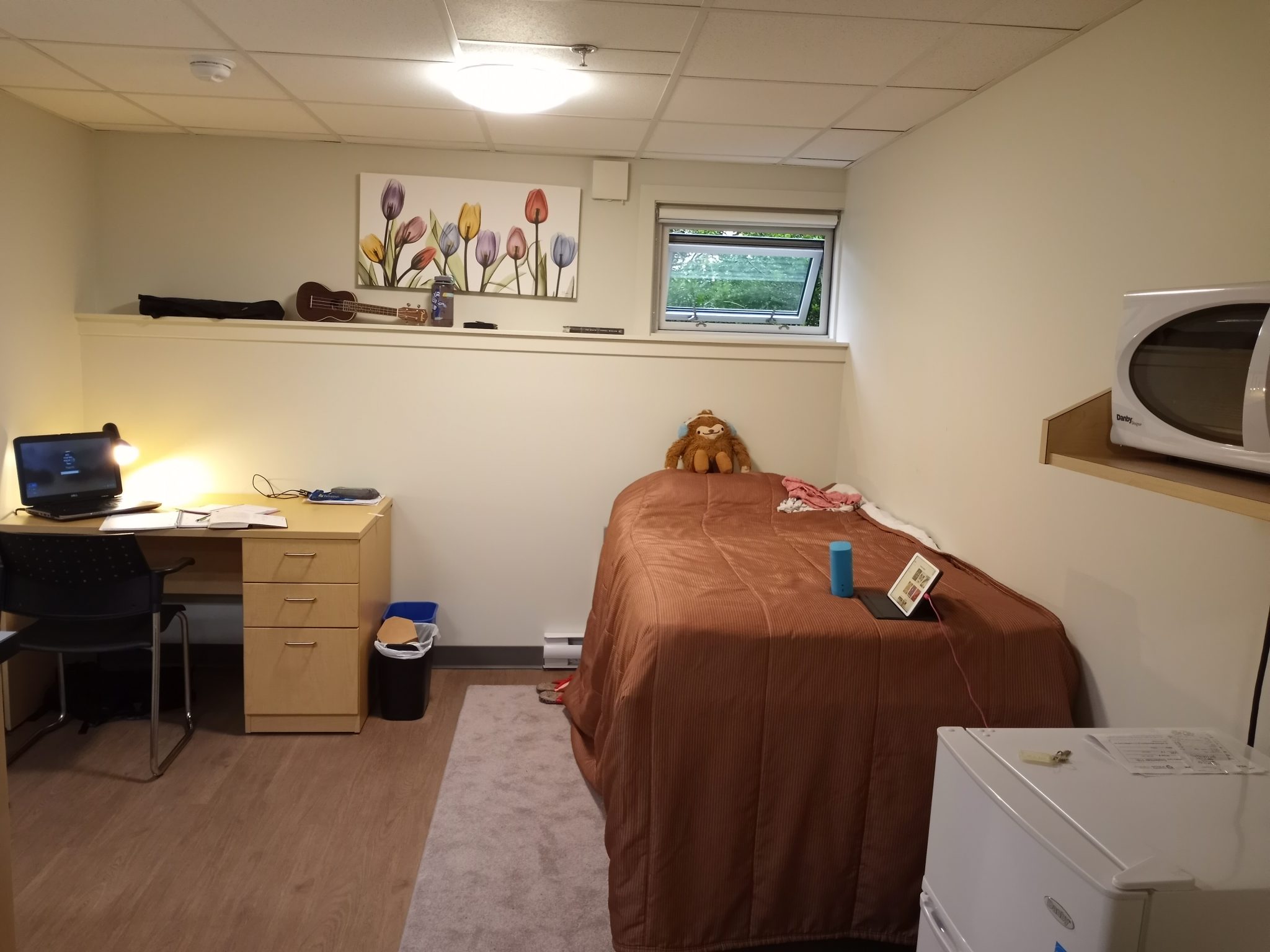 Self-Isolation in Residence – MyUVic Life