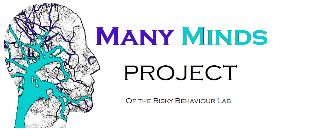 Previous Projects | Risky Behaviour Lab