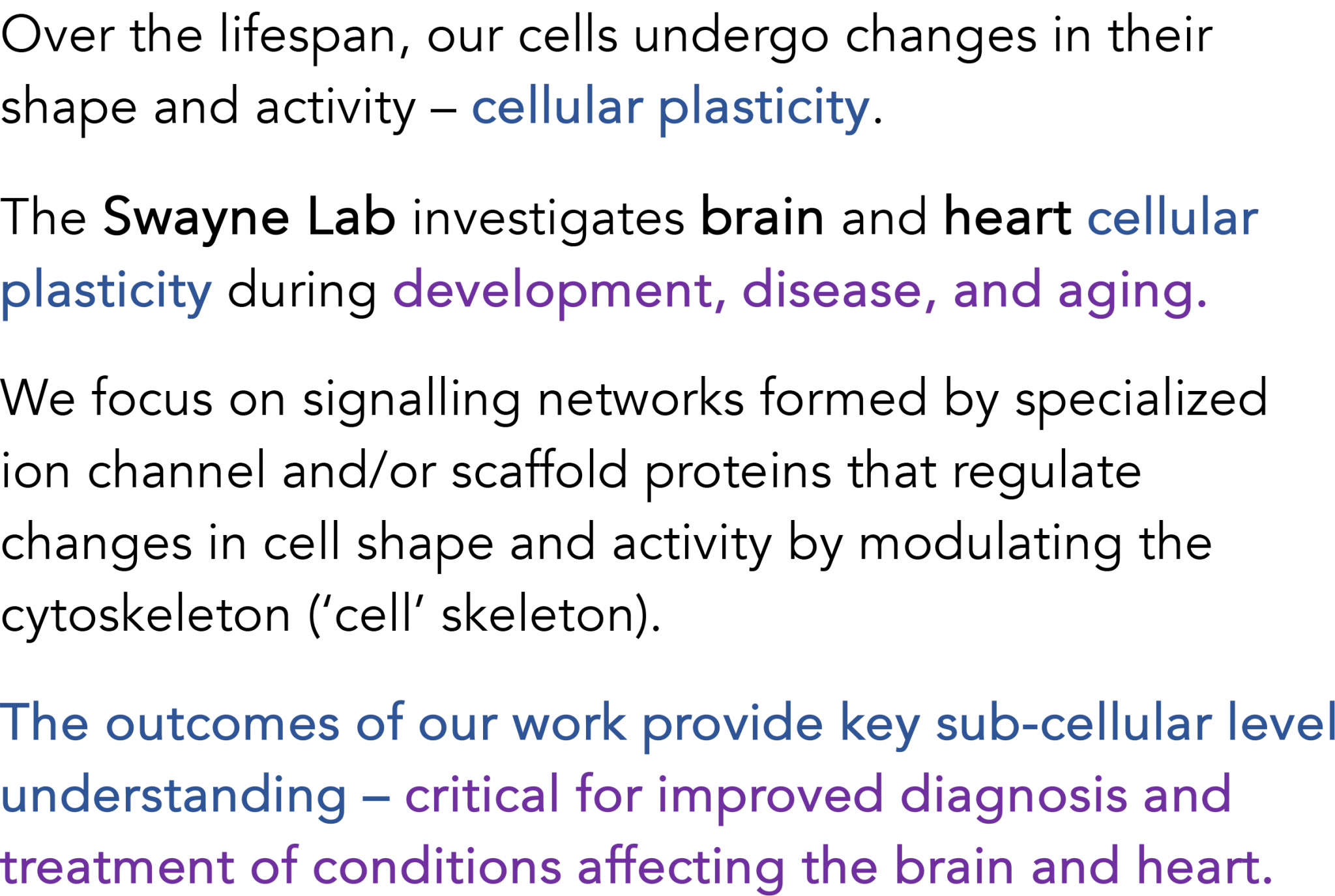 swayne lab – understanding brain & heart health